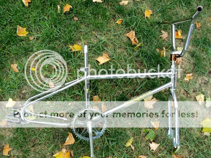 85 M1 build - Cru Jones bike - BMXmuseum.com Forums